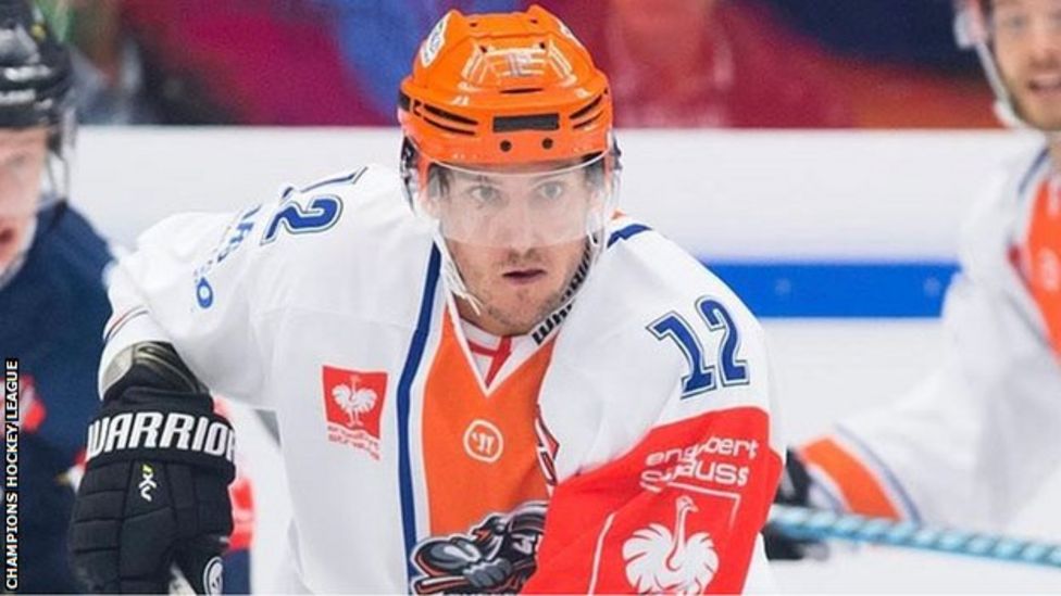 Cardiff Devils sign Swede Andreas Valdix as injury cover - BBC Sport