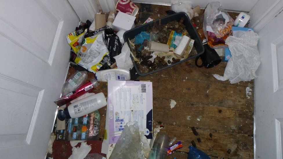 Bradford woman who starved cats to death banned from keeping animals ...