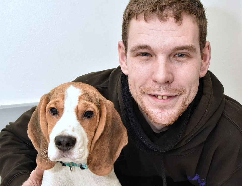 Blackpool puppy 'could have died' after eating painkillers - BBC News