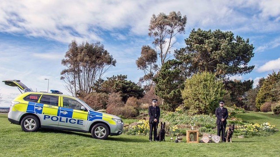 Scottish police dogs and their handlers take top honours - BBC News