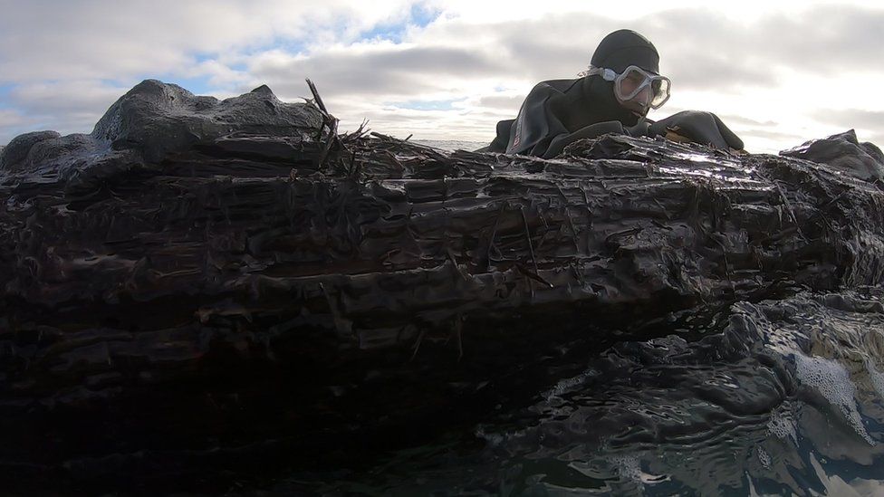 Canada shipwreck: Newfoundland locals try to solve Cape Ray mystery ...