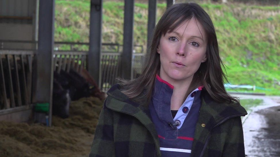 Cynnydd sylweddol i incwm ffermwyr yng Nghymru - BBC Cymru Fyw