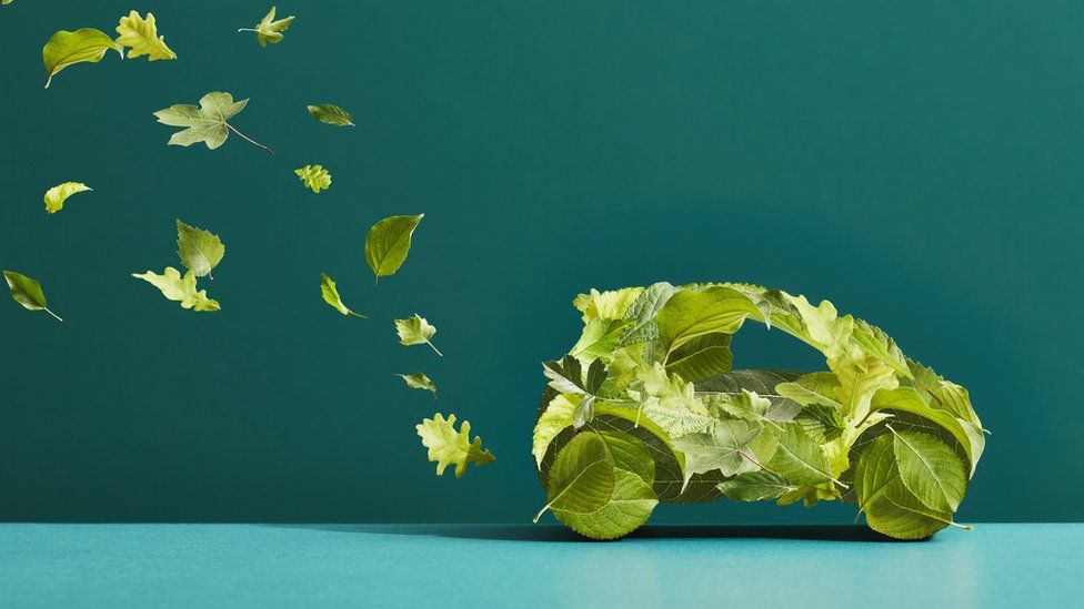 Photosynthesis: Could plant power fuel cars of the future? - BBC Newsround