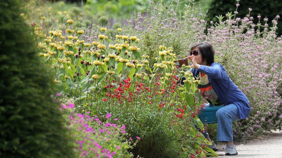 New project researches how gardens can help the environment - BBC News
