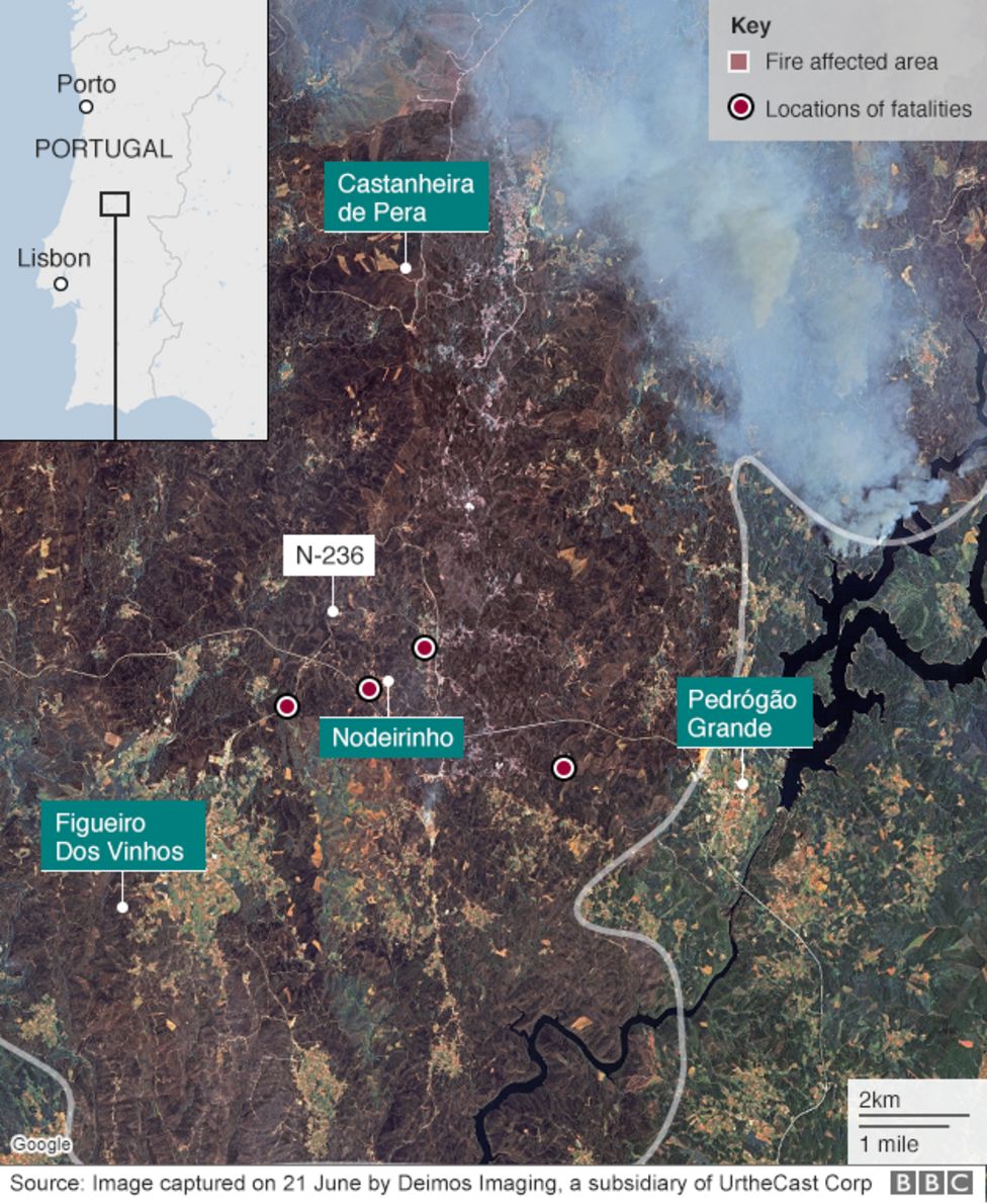 'Criminal hand' started Portugal fires - fire chief - BBC News