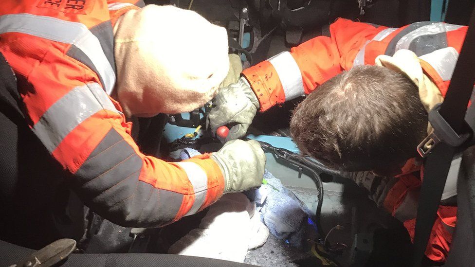 Snake gets trapped in car during Christmas drive - BBC News