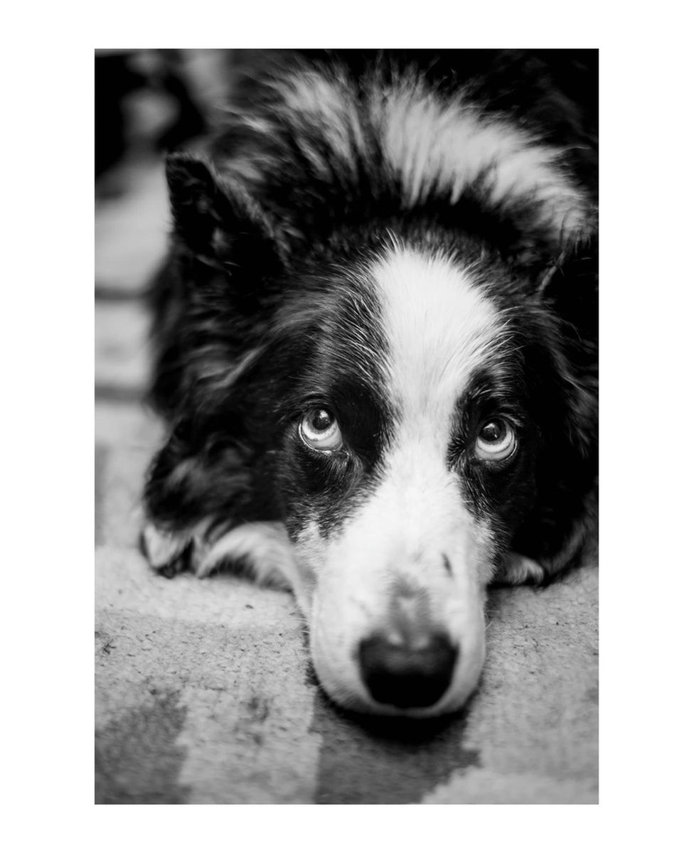 Oriel: Enillwyr Clic Clic i'r Corona - BBC Cymru Fyw