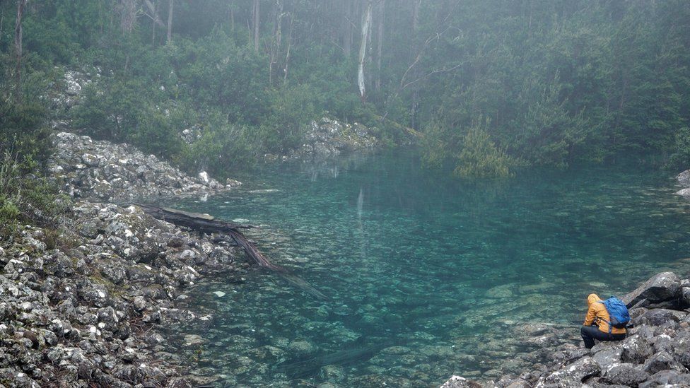 Disappearing Tarn: Tasmanian lake's return delights visitors - BBC News