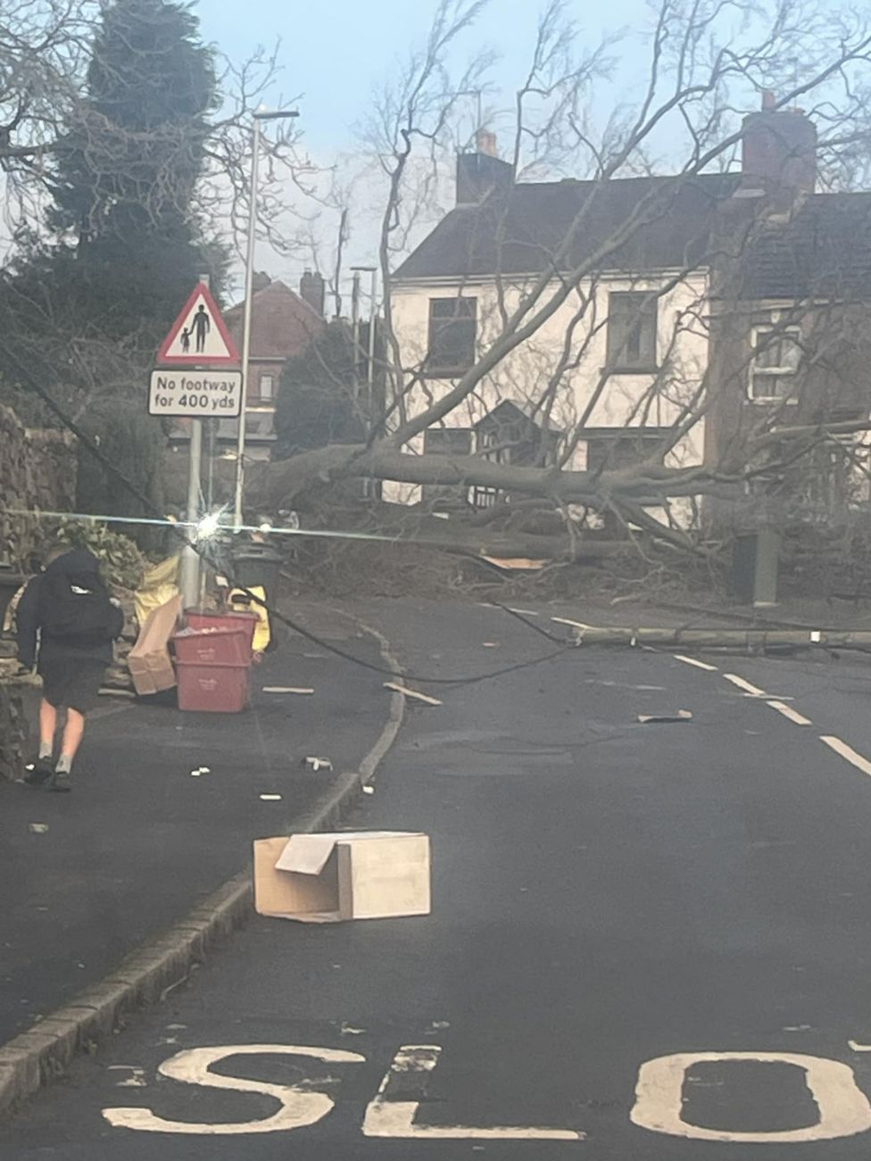Storm Pia: Fallen trees block roads as strong winds hit region - BBC News