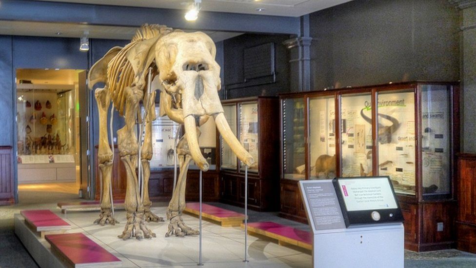 Manchester inflatable museum to go on schools tour - BBC News