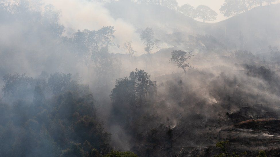 Large grass fire near Aberystwyth as temperatures hit 30C - BBC News