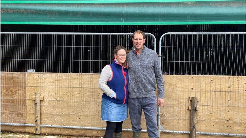 Bird flu fears force Devon and Cornwall turkey flocks indoors - BBC News