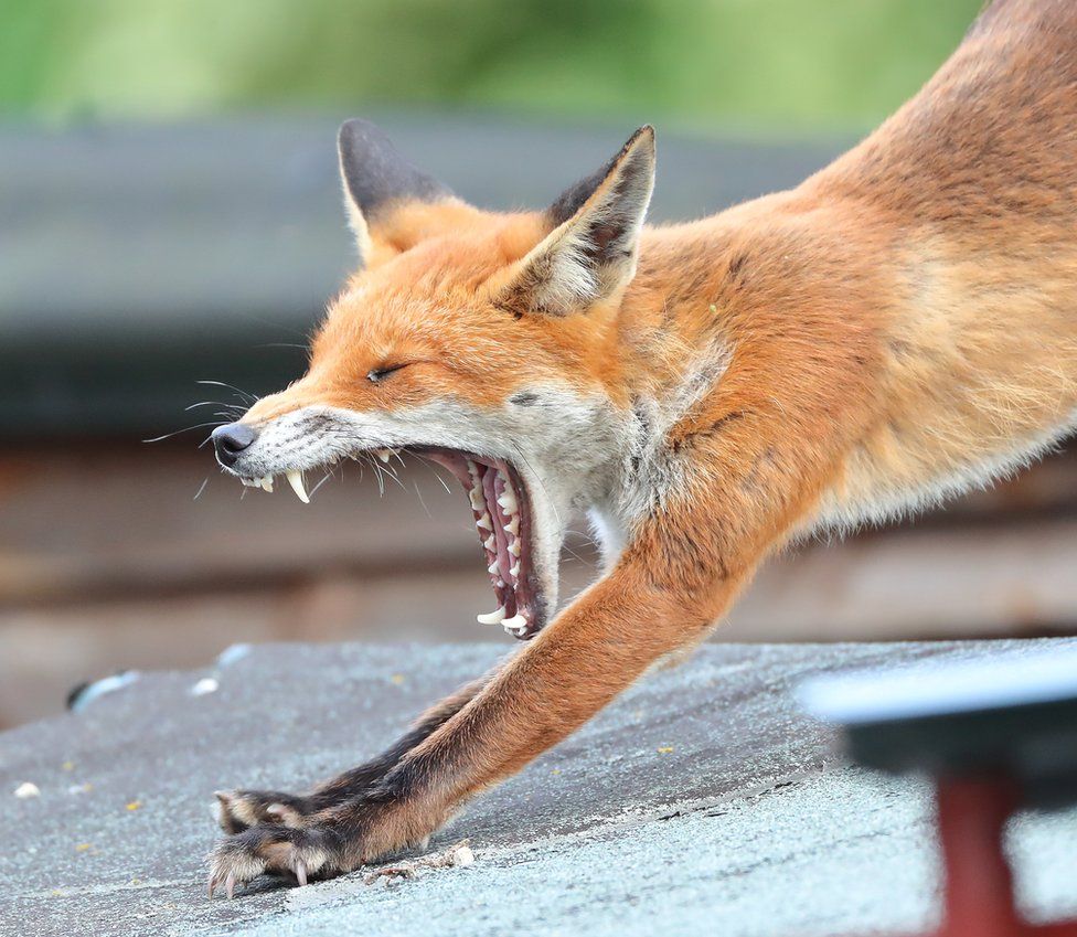 England's Big Picture: 12 - 18 June - BBC News