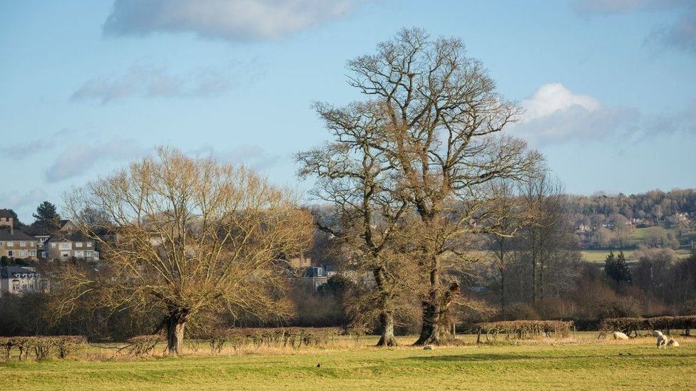 'Green corridor' to link Bath with countryside - BBC News