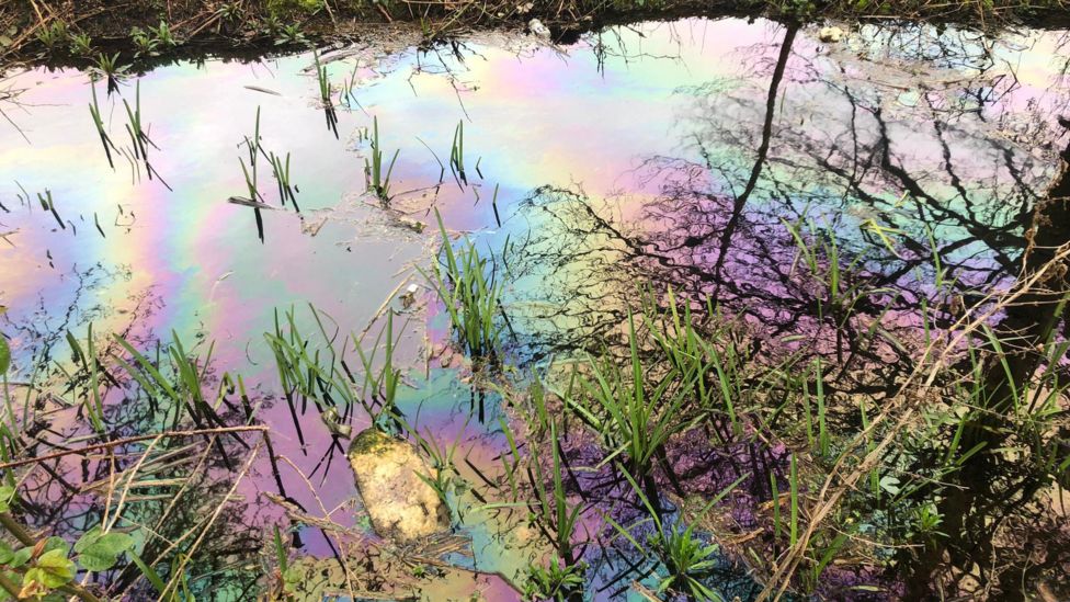 Maple Cross stream fuel spill cleaned up by Environment Agency - BBC News