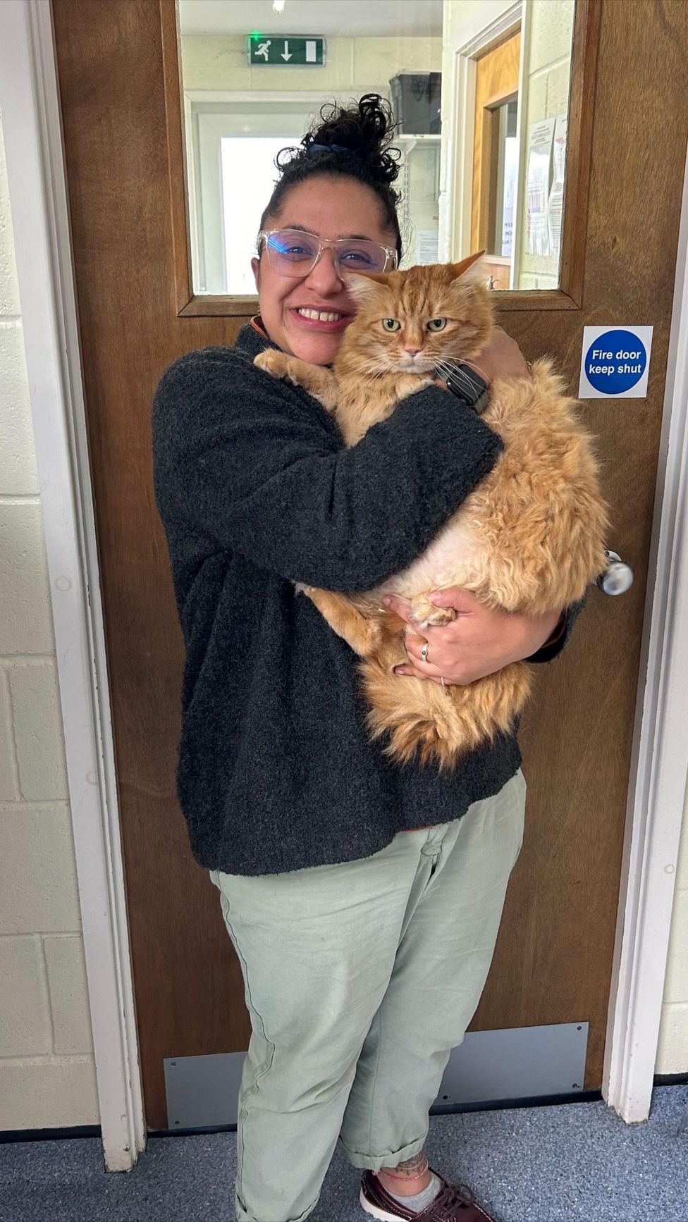 Wellesbourne fat cat Moses 'feline fine' by swimming to lose weight ...