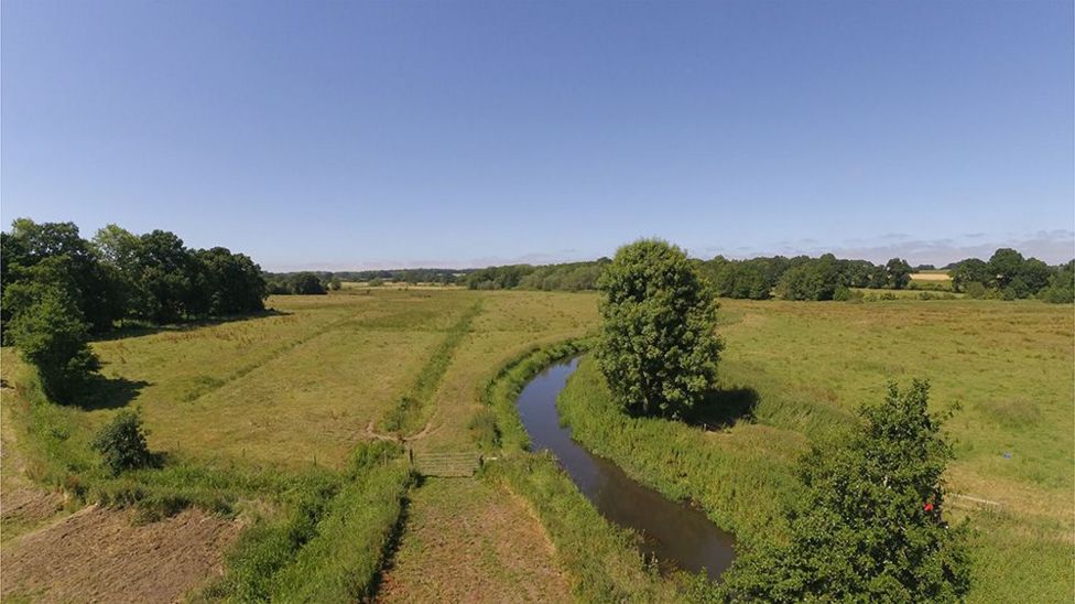 Conservation: What are chalk streams and why are they so rare? - BBC ...