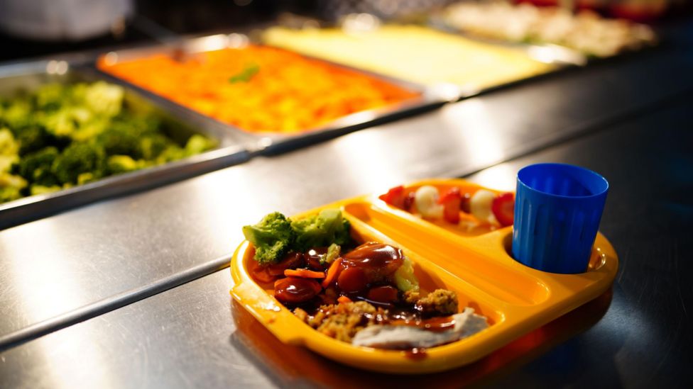 Jersey primary school hot meals for all on course, panel hears - BBC News