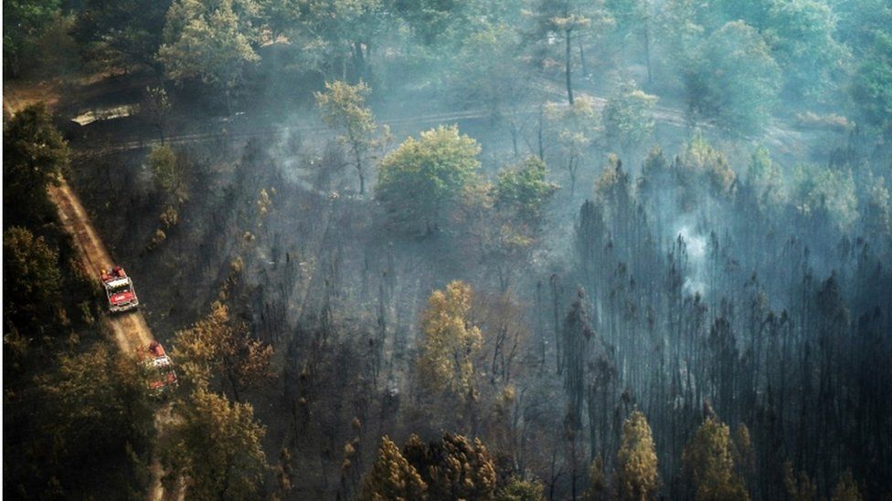 France Wildfires: EU countries send firefighters to France to help ...