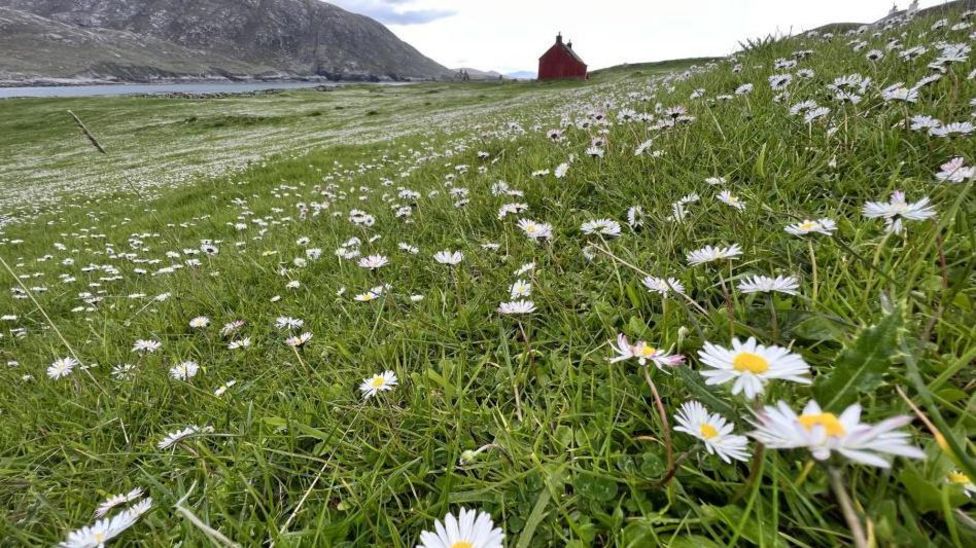 Harris FC adds Rocket Post isle Scarp to club badge - BBC News