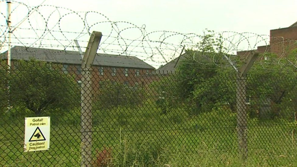 Tissue production factory to create 229 jobs in Deeside - BBC News