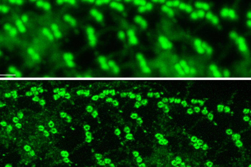 Scotland's most powerful microscope unveiled - BBC News
