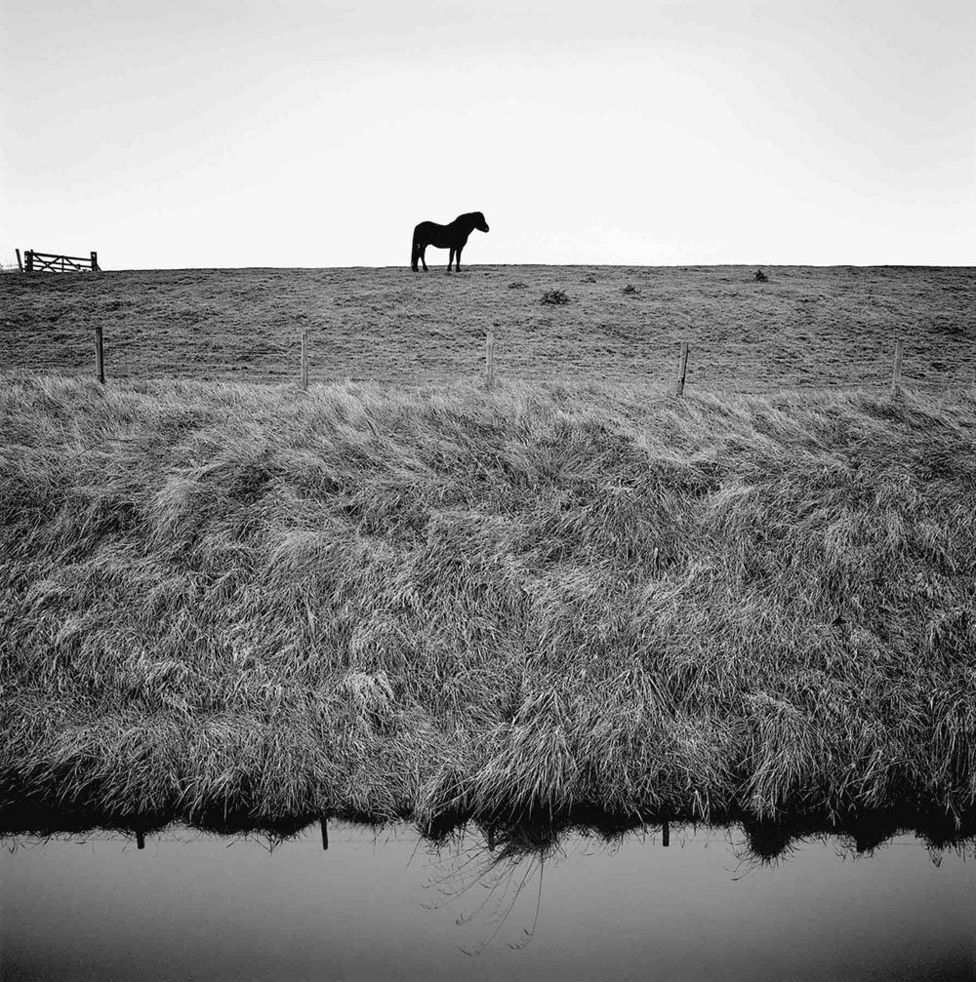 In pictures: The beauty of the fens - BBC News