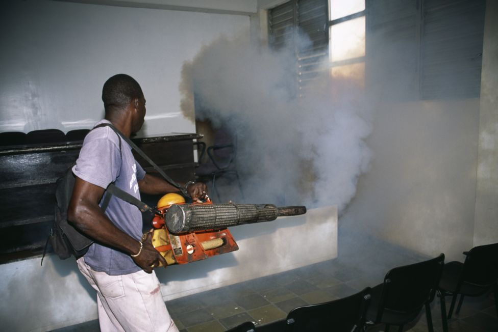 Zika outbreak: The mosquito menace - BBC News