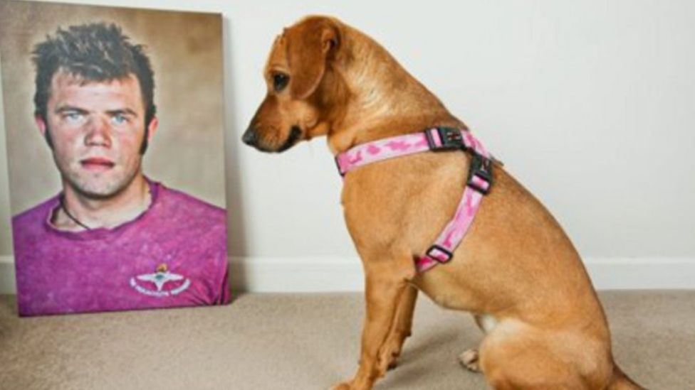 Conrad Lewis: Soldier's dog wins inspirational pet award - BBC News