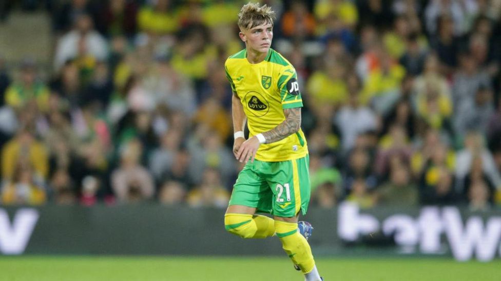 Norwich's summer ins and outs - BBC Sport