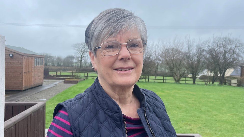 Cynllun peilonau yn 'sarnu lle bendigedig i fyw' - BBC Cymru Fyw