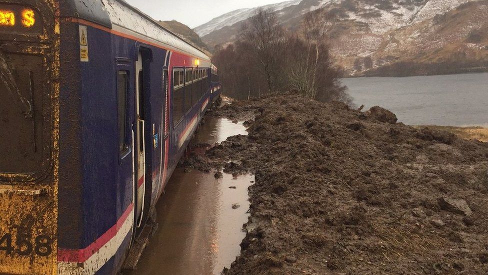 Tree planting 'could protect railways' from landslips - BBC News
