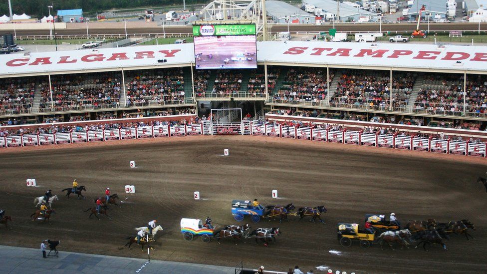 Calgary Stampede: Why horses die on the 'half-mile of hell' - BBC News