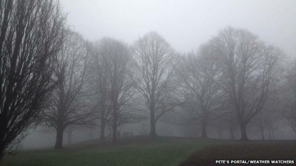 Gallery: One foggy Tuesday morning - BBC Weather