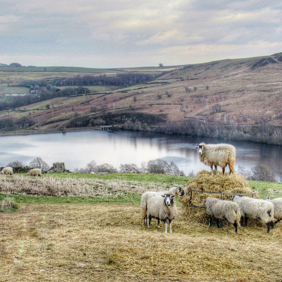 England's Big Picture: 22 - 28 March - BBC News