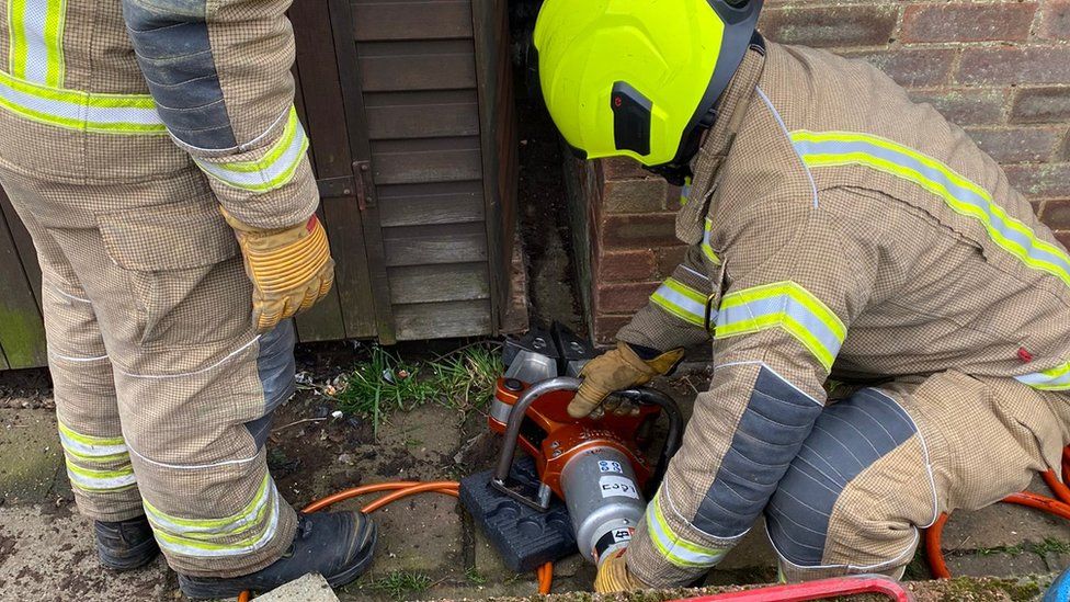 Hadleigh: Essex firefighters lift shed to free trapped puppy - BBC News
