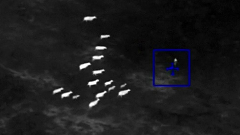 Driver found with corpse on wrong side of highway - BBC News