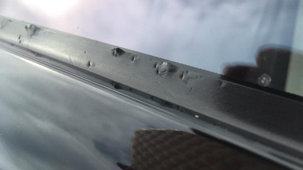 Crow attacks in Sherborne 'like scene from The Birds' - BBC News