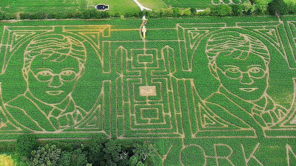 11 amazing mazes: Lion King, Doctor Who and more - BBC Newsround