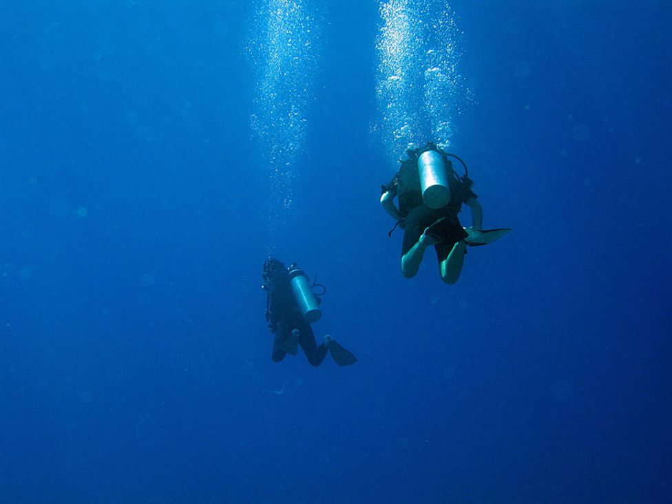 Your pictures on the theme of 'into the blue' - BBC News