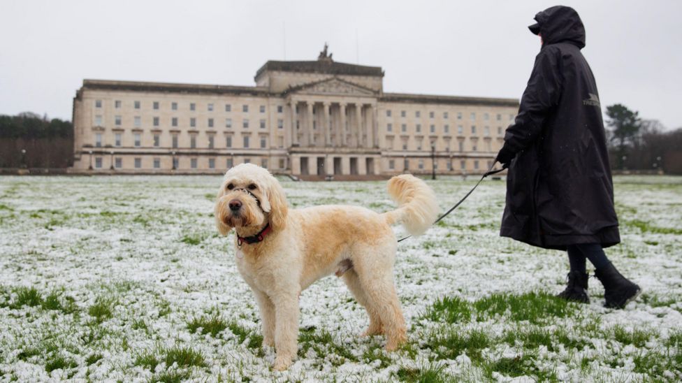 In pictures: Snow falls across Northern Ireland - BBC News