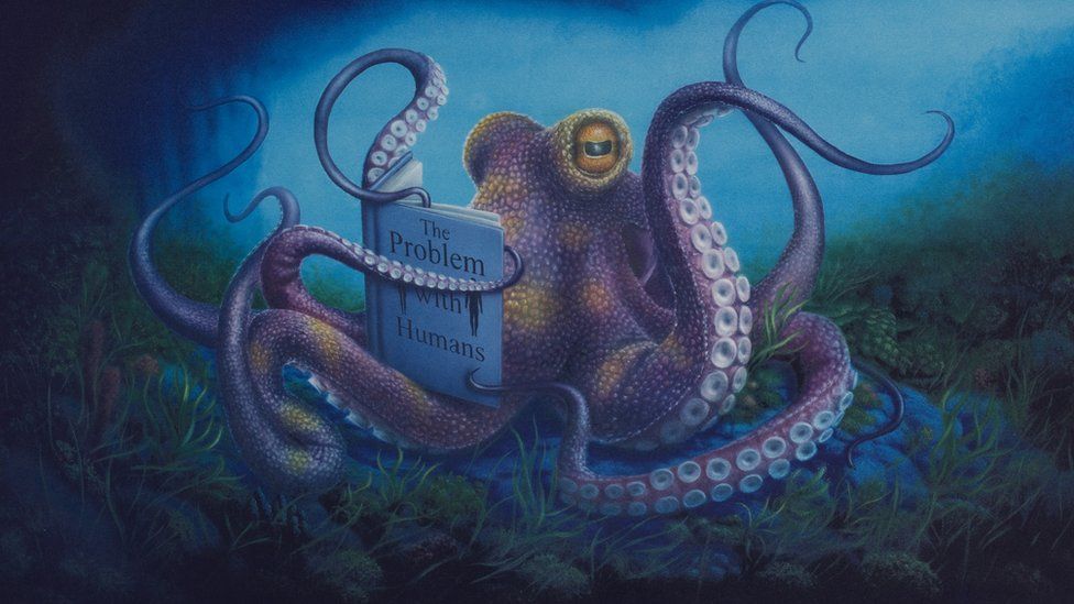 How Jeremy Deller is brightening the school day - BBC News