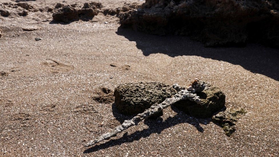 900-year-old sword found at the bottom of the sea - BBC Newsround