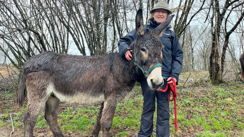 Tè à Leòdhas agus a taisteal le aiseal - Naidheachdan a' BhBC