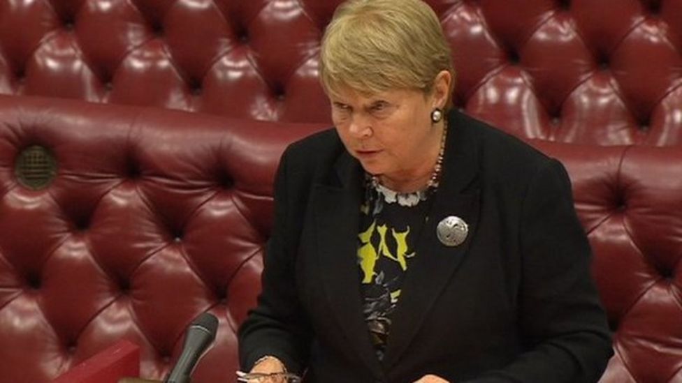 Fair funding law call by Lib Dem Baroness Randerson - BBC News