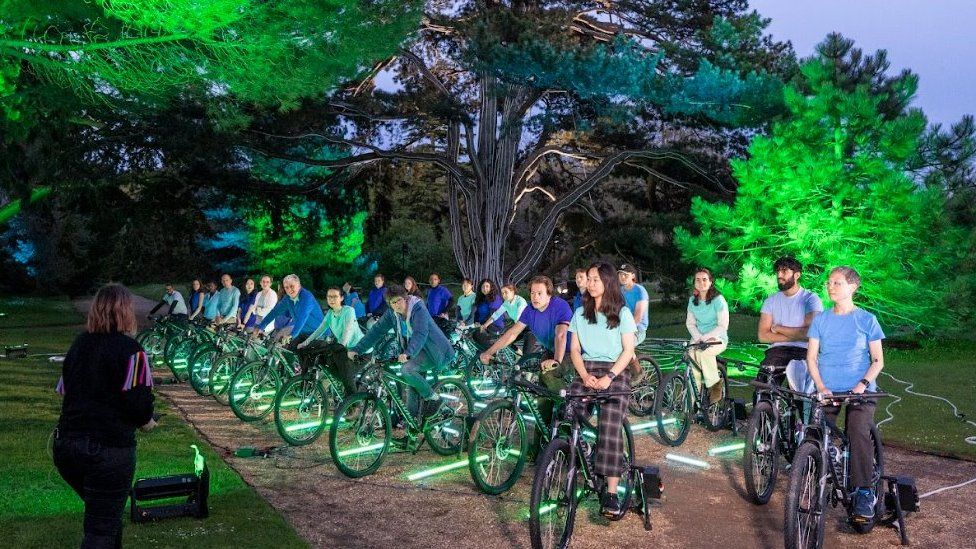 Ancient Cambridge tree lit up for Coronation by pedal-power - BBC News