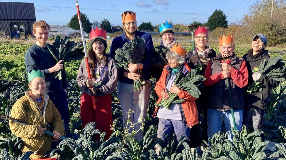 Sutton Community Farm: London's 'forgotten farm' makes funding appeal ...