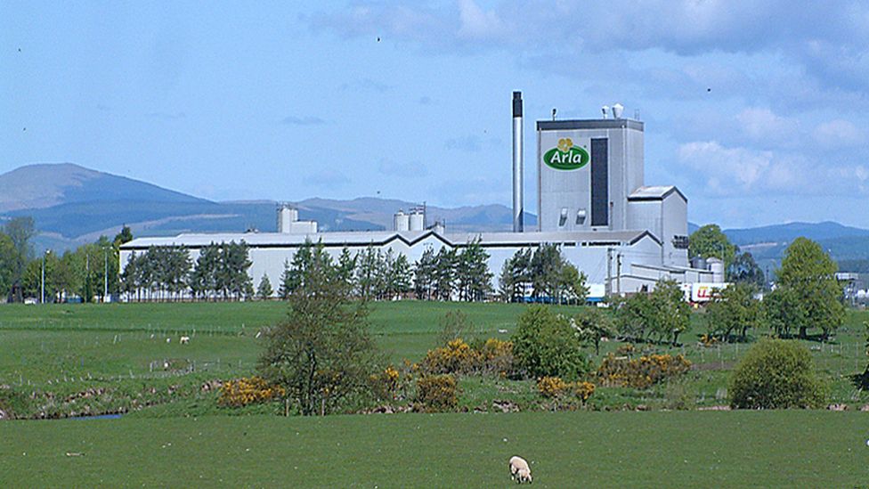 Arla unveils Lockerbie plant investment - BBC News