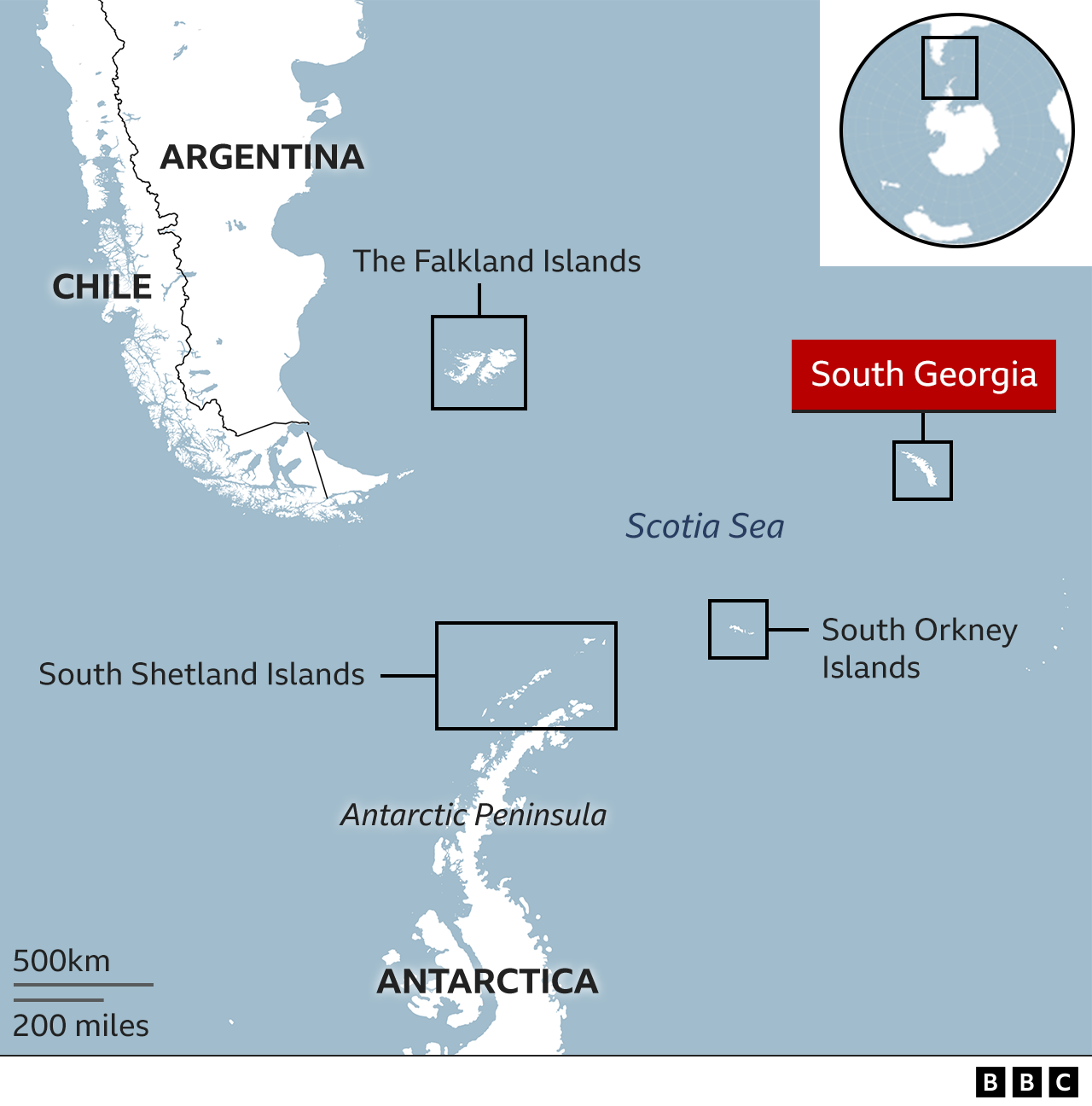 South Georgia: Bird flu infects penguins at famous wildlife haven - BBC ...