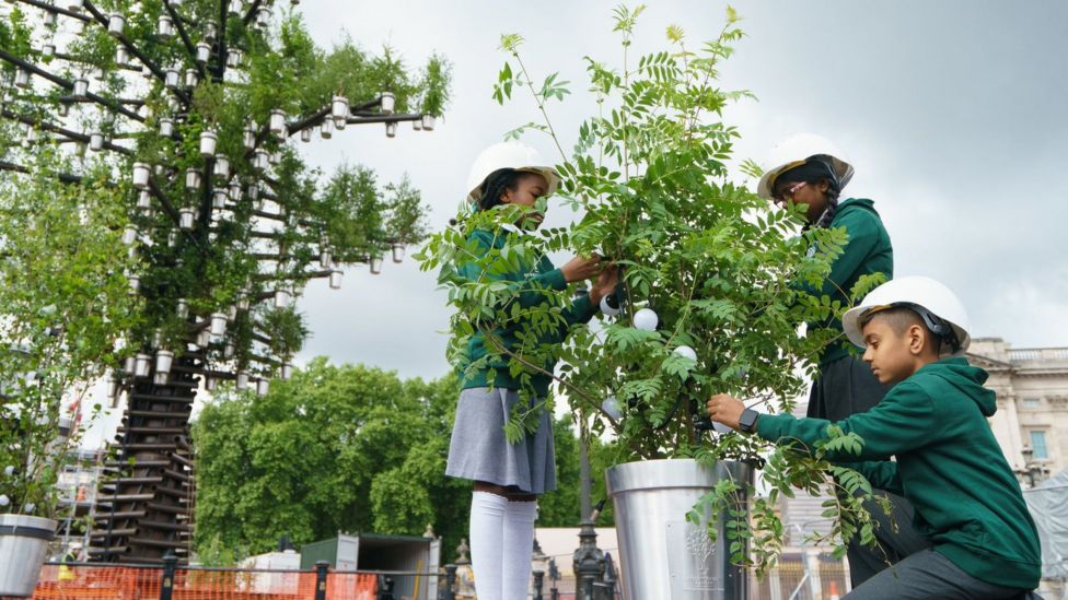 Queen's Jubilee sculpture tree planted in Keyham - BBC News